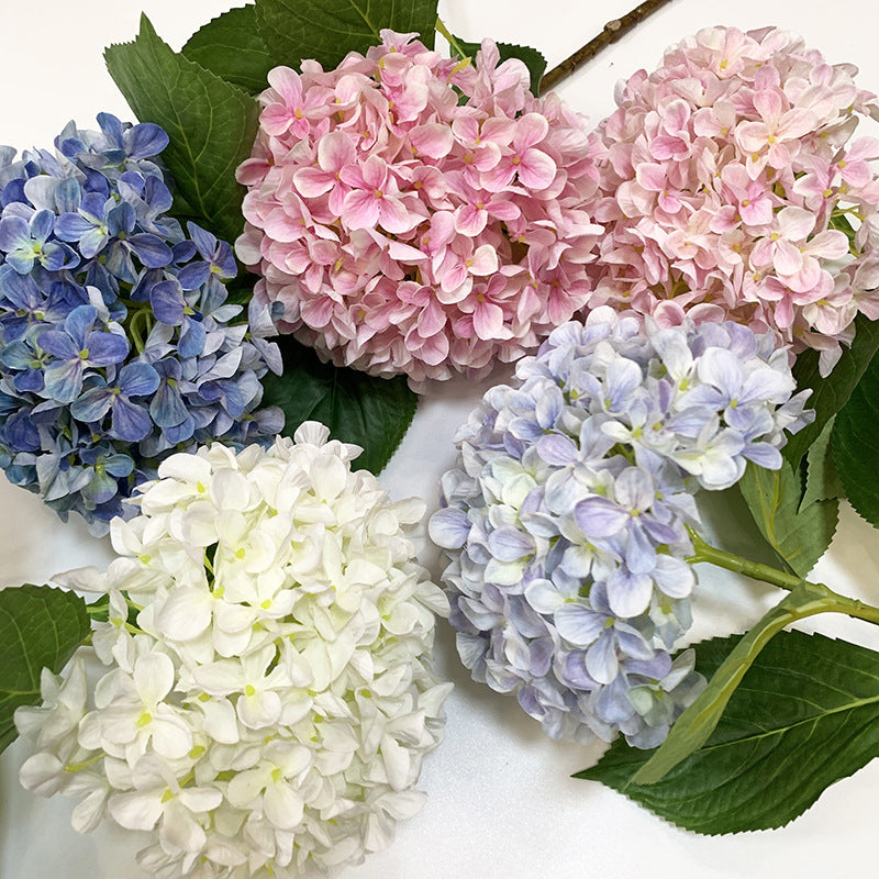 Simulation Flowers – LOVELIFE