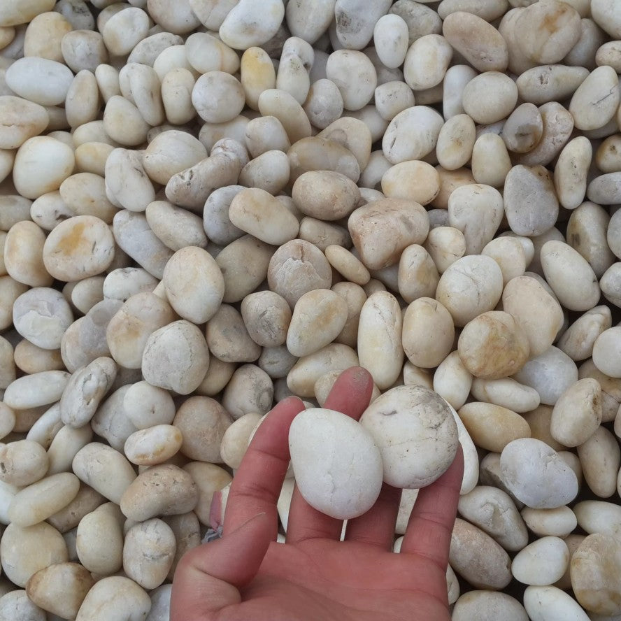 Natural Matt Multi-color Pebbles Paving Stone – LOVELIFE